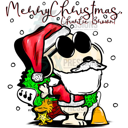 Merry Christmas Charlie Brown